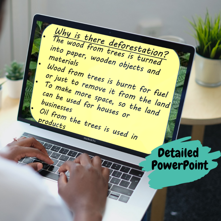 Rainforest Deforestation Lesson Plans and Resources | Made By Teachers