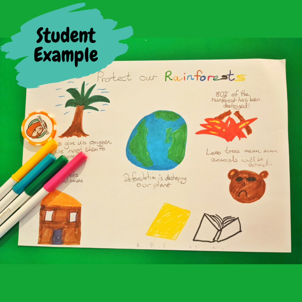 Rainforest Deforestation Lesson Plans and Resources | Made By Teachers