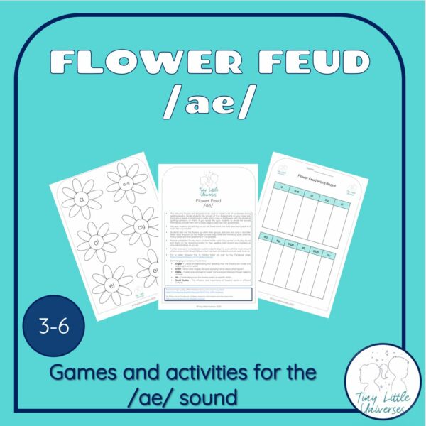 Long Vowel Phonics Game Crafts and Activities for the AE Vowel Digraph ...