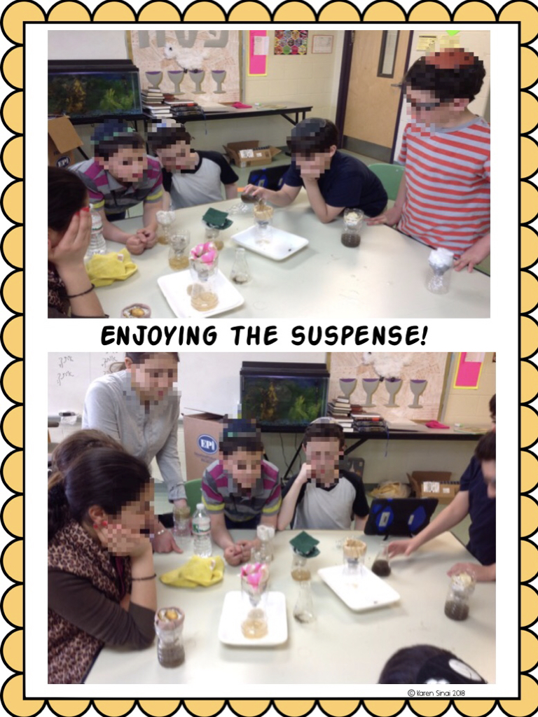 Water Filter STEM Design Project Earth Day MS-ESS3-3 | Made By Teachers