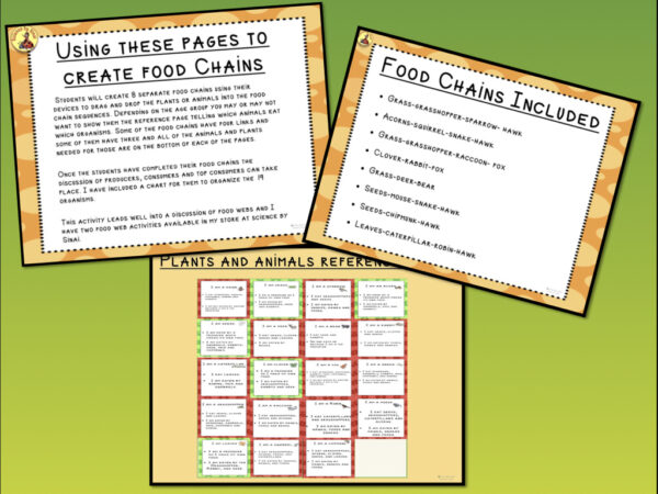 Digital FOOD CHAIN ACTIVITY Drag and Drop | Made By Teachers