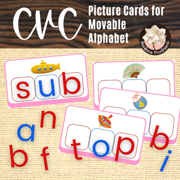 CVC Picture Cards for Montessori Pink Series, CVC Cards for Montessori ...