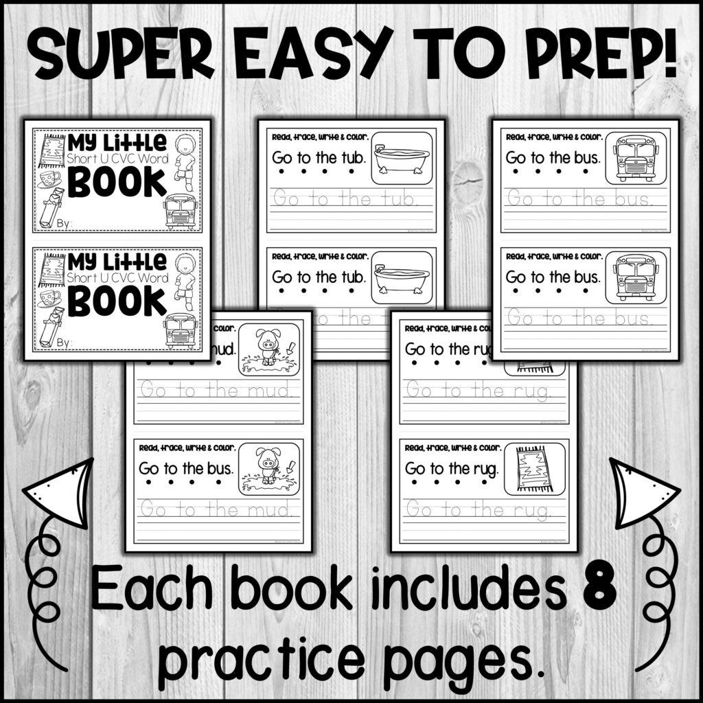 Short Vowel CVC Word Fluency - Reading and Writing Sentences Practice ...