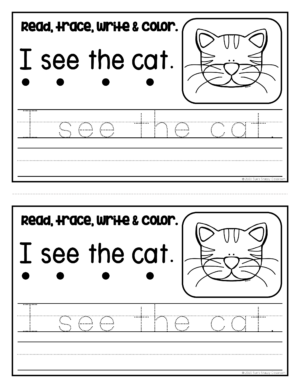 Short Vowel CVC Word Fluency - Reading and Writing Sentences Practice ...