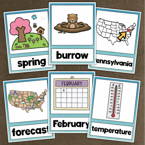 Groundhog Day Word Wall Cards & Worksheets Word Search Punxsutawney ...