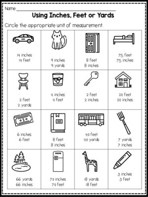 Measurement Unit for Second Grade | Made By Teachers