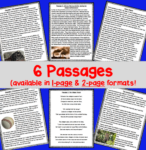 4th Grade ELA Practice State Test #1 | Made By Teachers