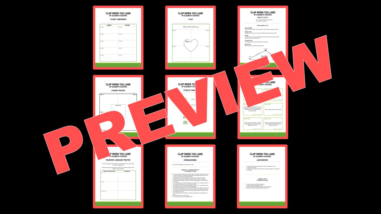 CLAP WHEN YOU LAND Novel Study | Made By Teachers