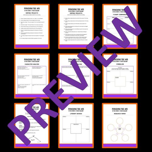 PUNCHING THE AIR Novel Study | Made By Teachers