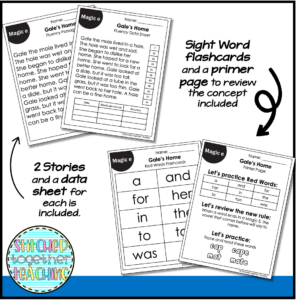 Decodable Reading Passages sion Ending - Orton Gillingham and Science ...
