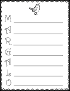 Stuart Little Activity Character Acrostic Poems - Made By Teachers