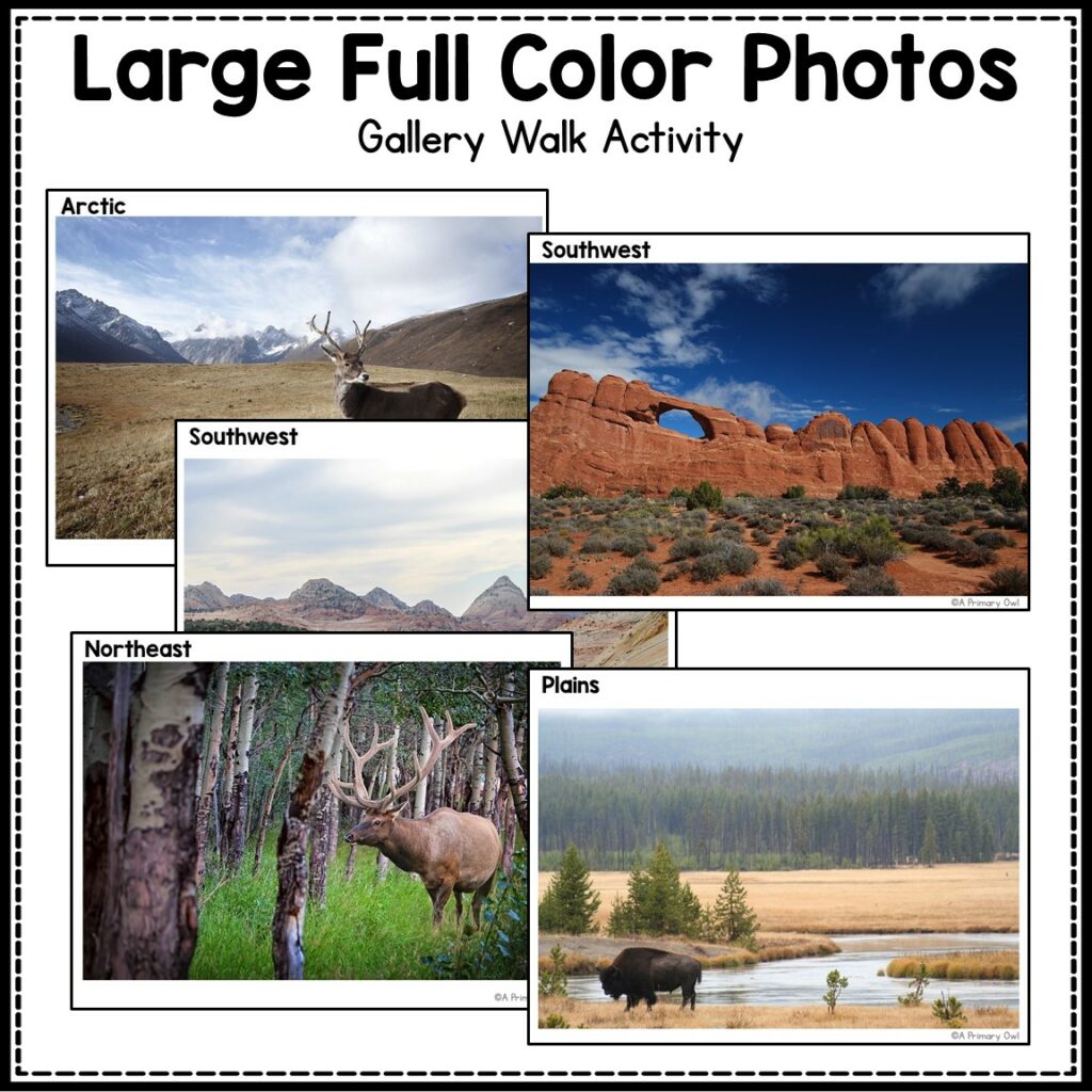 Native American Regions 3rd grade Interactive PowerPoint Mini Book ...