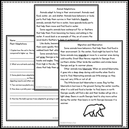 Adaptations of Living Things Georgia Plants and Animals Unit | Made By ...