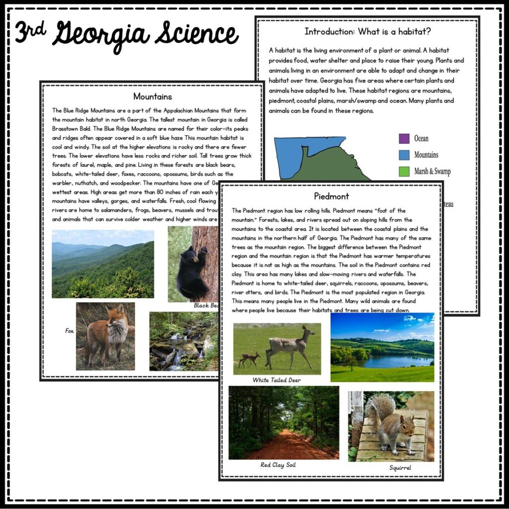 Georgia Habitats Georgia 3rd Grade Science Unit - Made By Teachers
