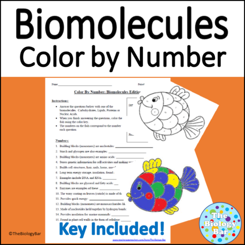 Biomolecules Color By Number | Made By Teachers