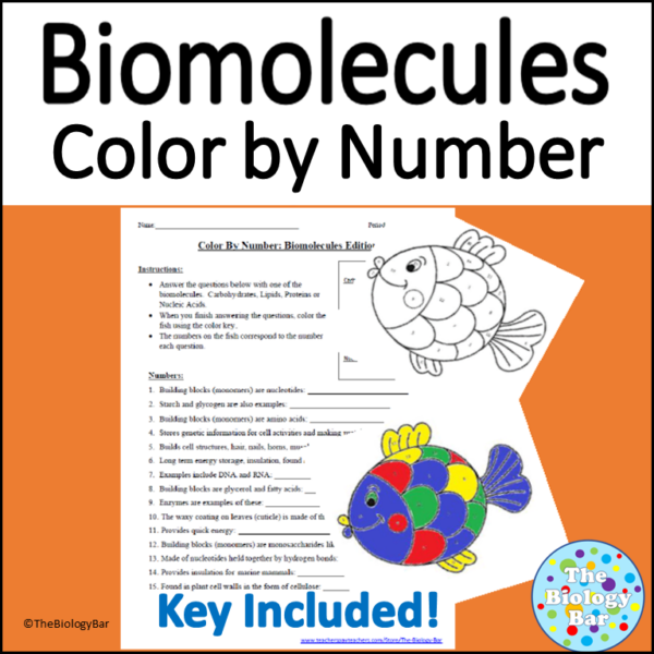 Biomolecules Color By Number | Made By Teachers