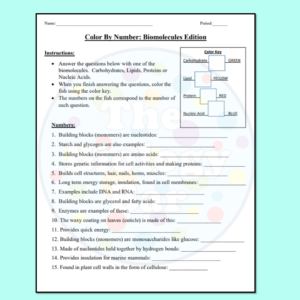 Biomolecules Color By Number | Made By Teachers
