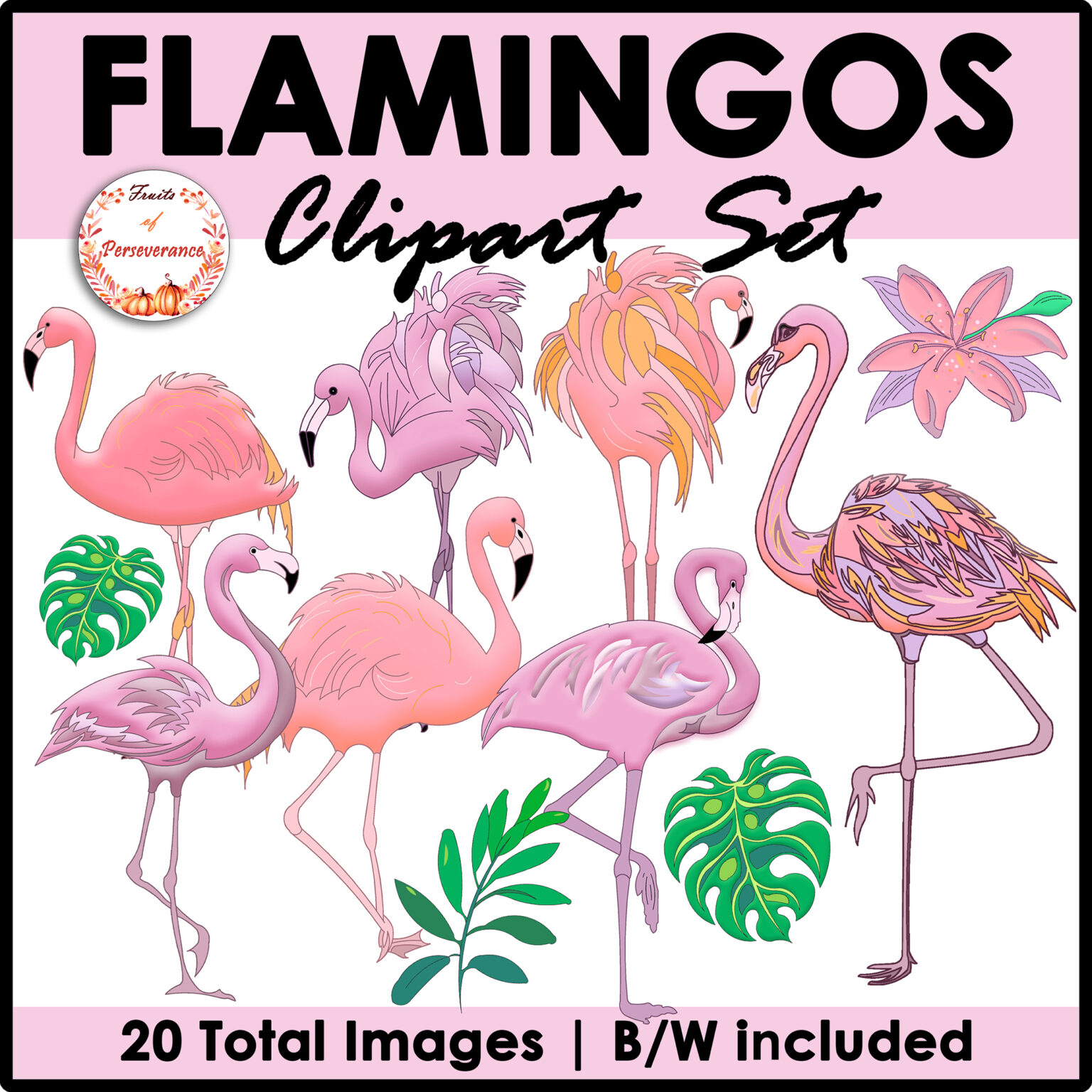Tropical Flamingos Clipart | Birds Clip Art | Made By Teachers