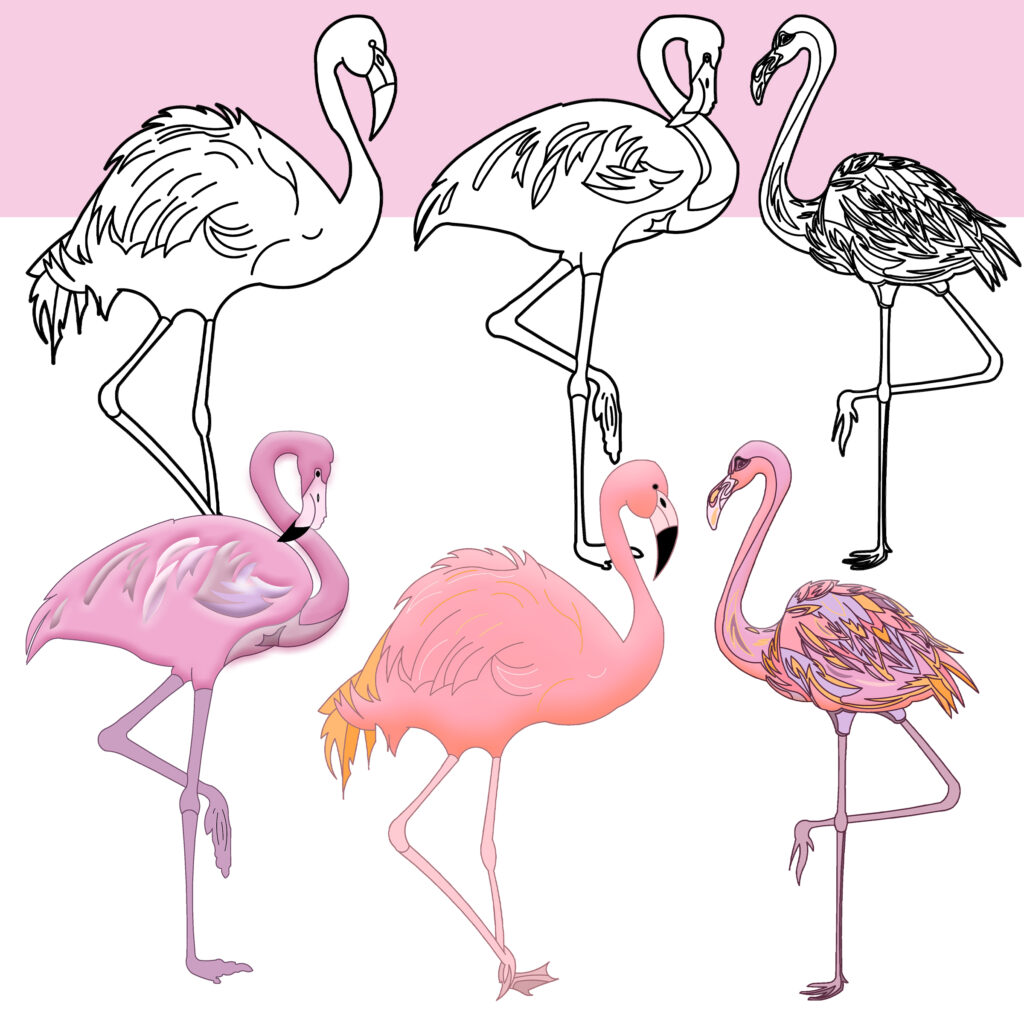 Tropical Flamingos Clipart | Birds Clip Art | Made By Teachers