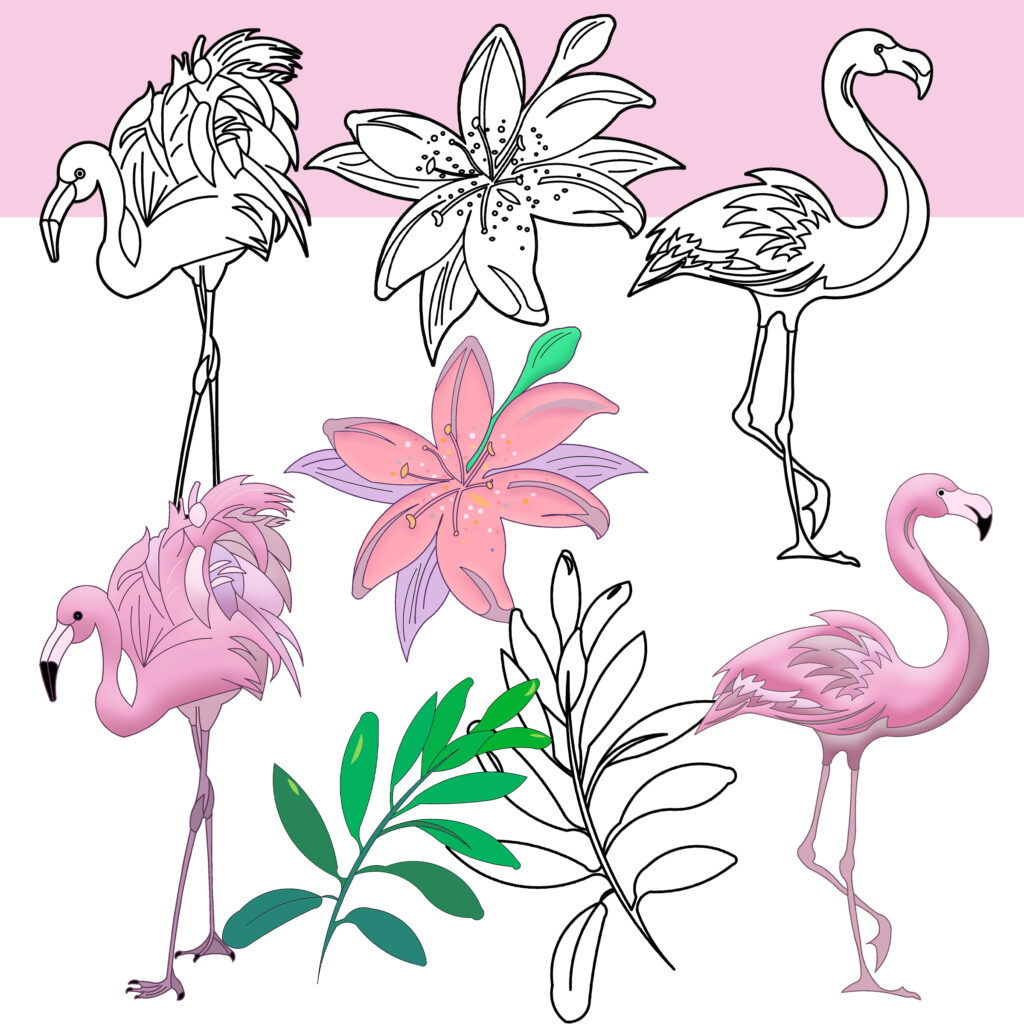 Tropical Flamingos Clipart | Birds Clip Art | Made By Teachers