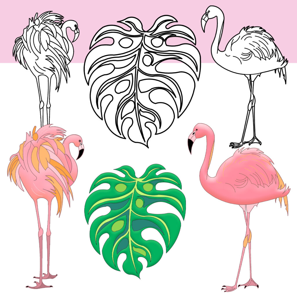 Tropical Flamingos Clipart | Birds Clip Art | Made By Teachers