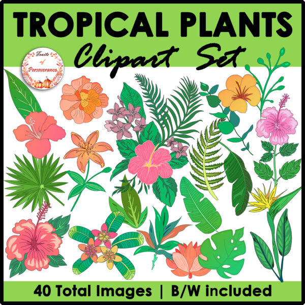 Tropical Plants Leaves and Flowers Clipart | Made By Teachers