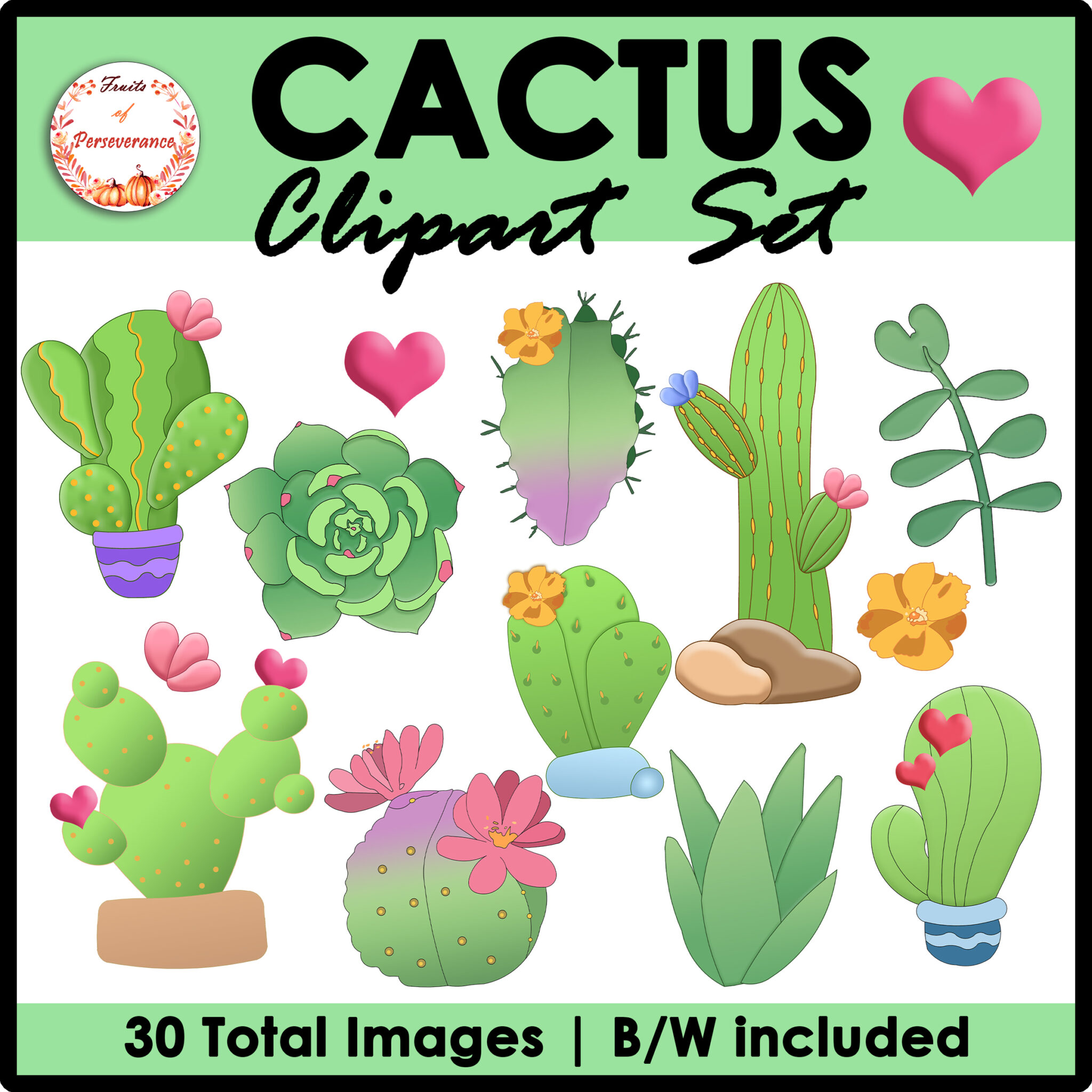 Cactus and Succulents Clipart | Plants Clipart | Made By Teachers