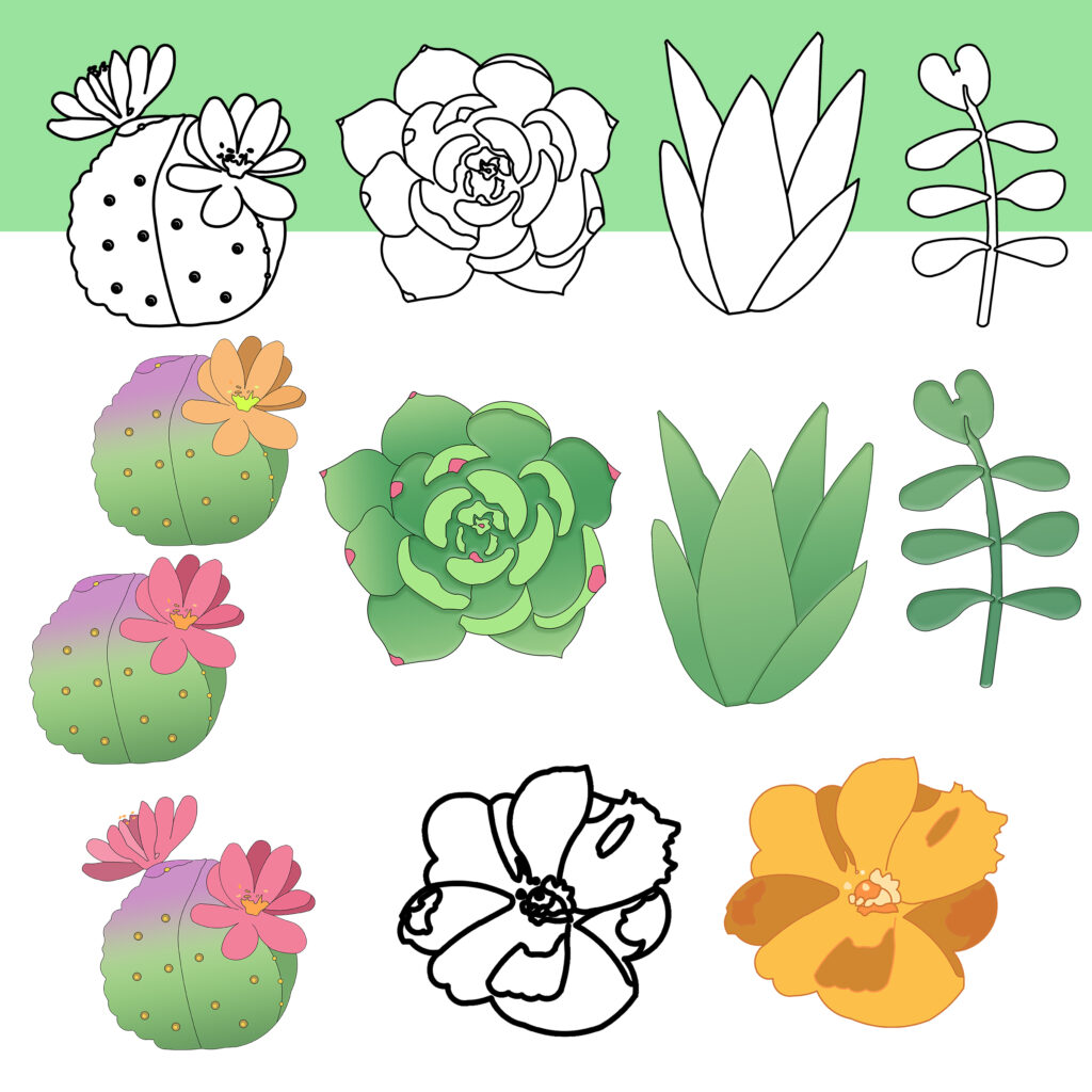 Cactus and Succulents Clipart | Plants Clipart | Made By Teachers