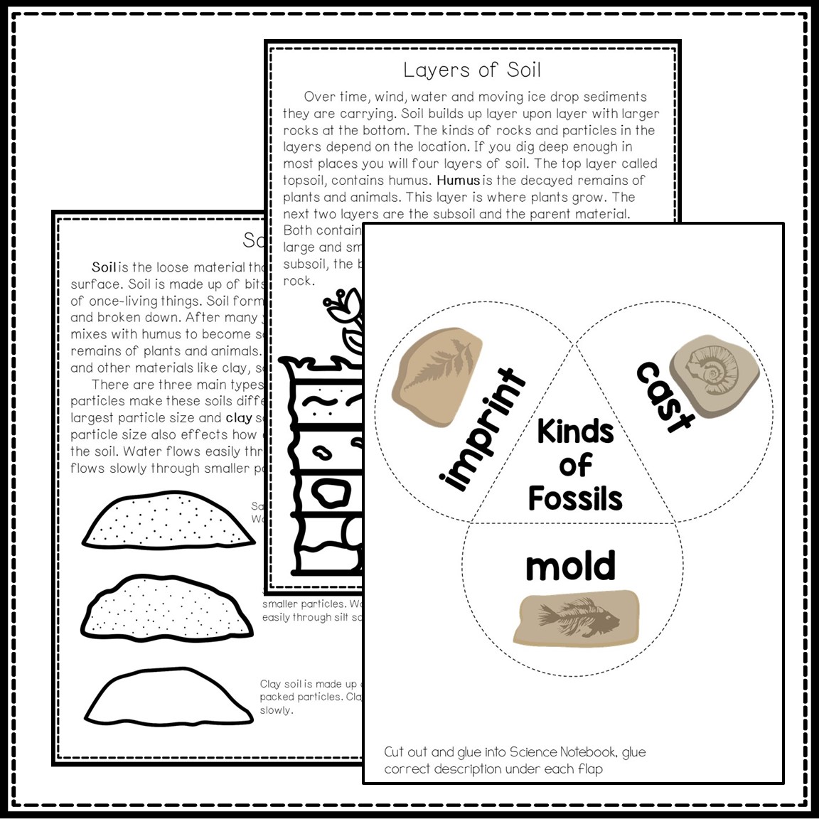 Changes to Earth's Land Weathering Erosion Soil and Fossils Science ...