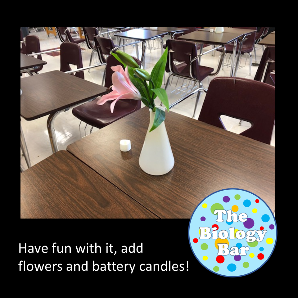 Cell Transport Speed Dating | Made By Teachers