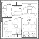 Life Cycle Sequencing Cards and Worksheets | Made By Teachers