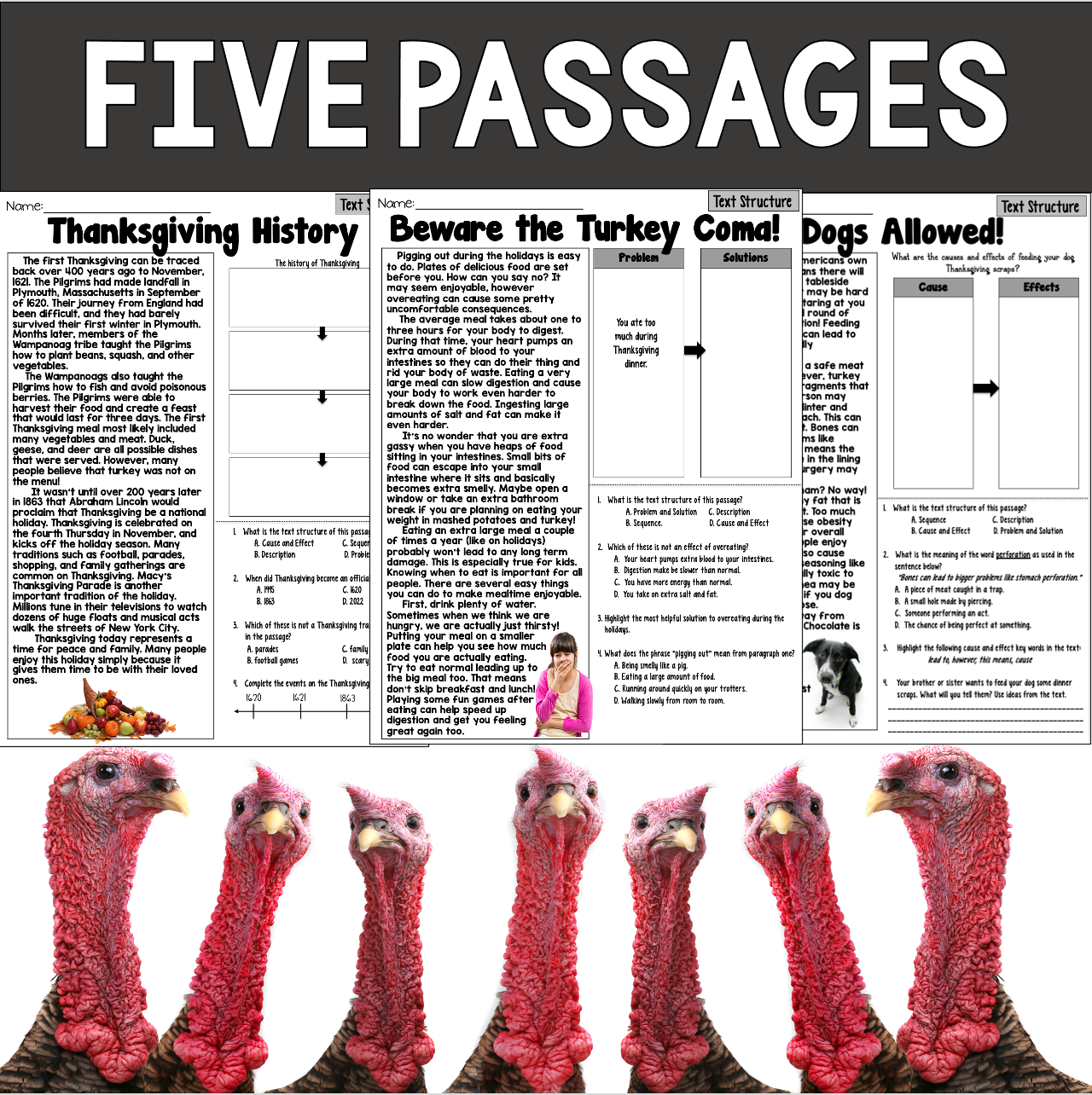 Thanksgiving Text Structure Passages | Made By Teachers