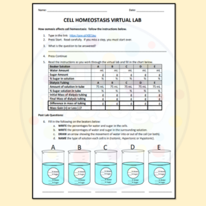 Osmosis Homeostasis Virtual Lab | Made By Teachers
