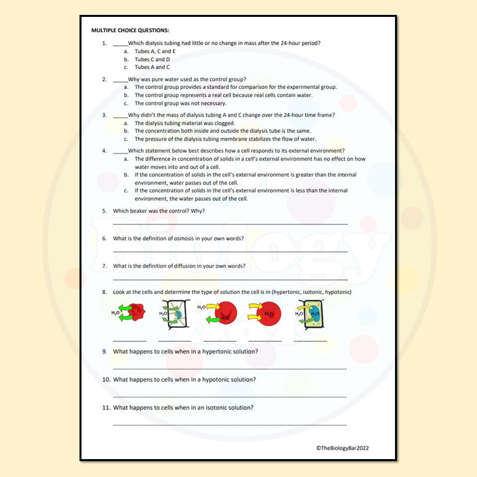 Osmosis Homeostasis Virtual Lab | Made By Teachers