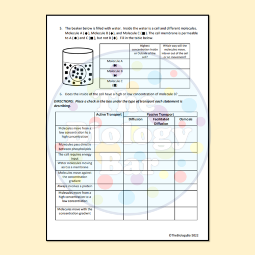 Cell Transport Worksheet | Made By Teachers