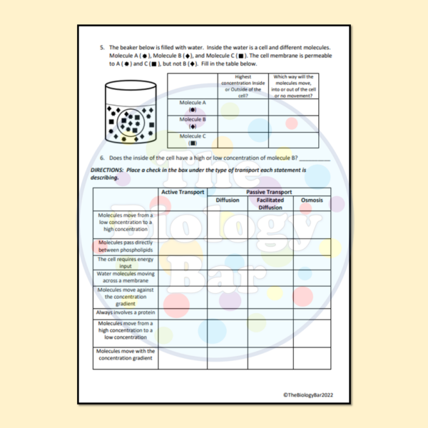 Cell Transport Worksheet | Made By Teachers