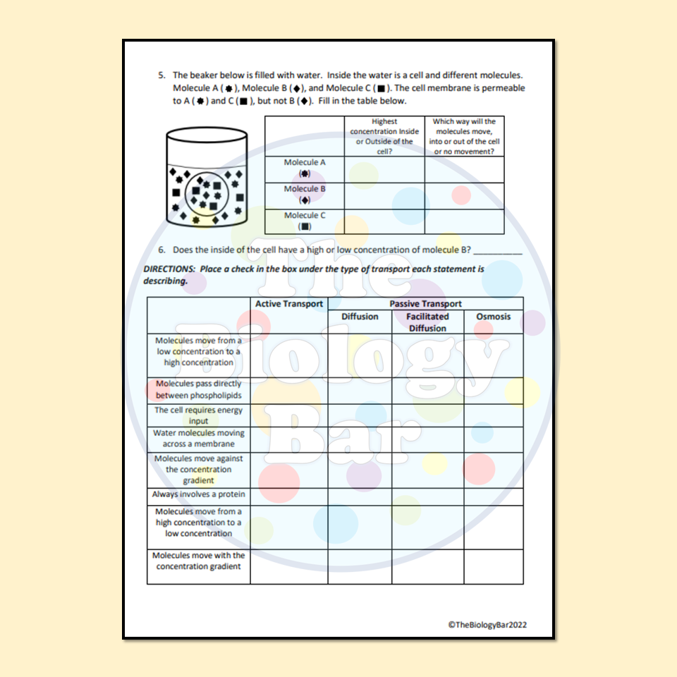 Cell Transport Worksheet | Made By Teachers