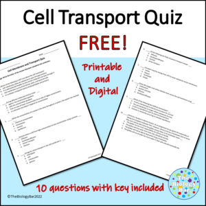 Cell Transport Quiz | Made By Teachers