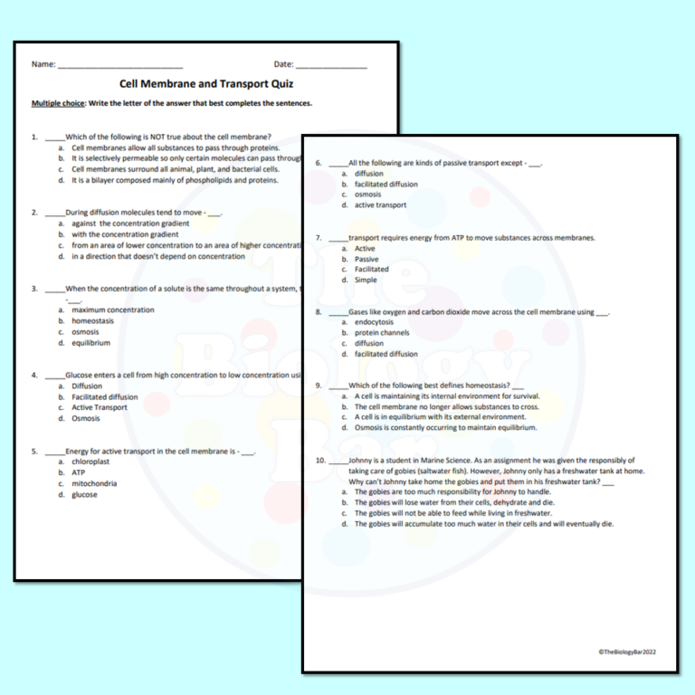 Cell Transport Quiz | Made By Teachers