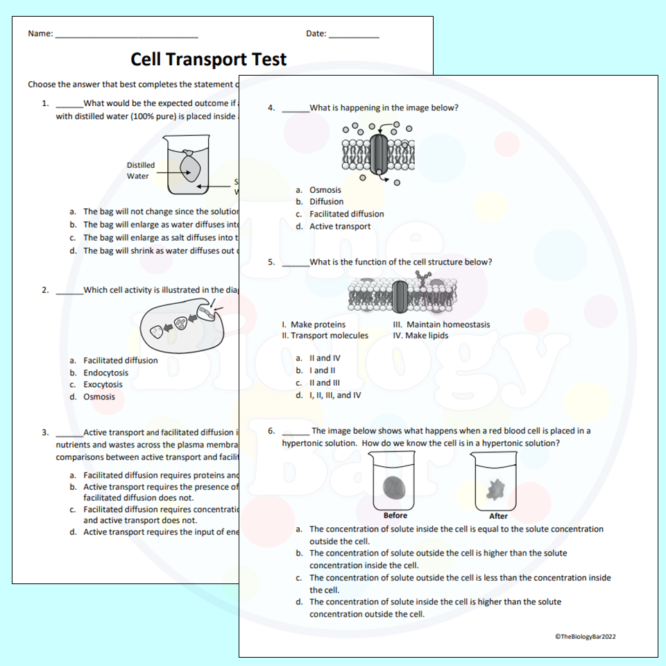 Cell Transport Review and Test | Made By Teachers