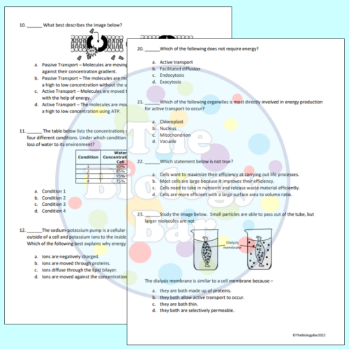 Cell Transport Review and Test | Made By Teachers