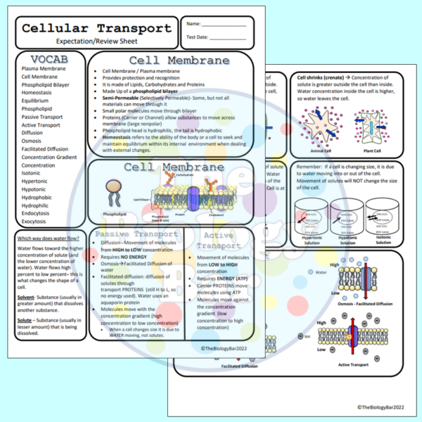 Cell Transport Review and Test - Made By Teachers