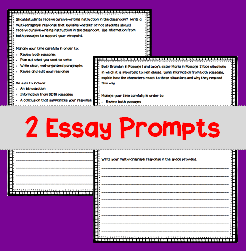 4th Grade ELA Practice State Test #3 | Made By Teachers