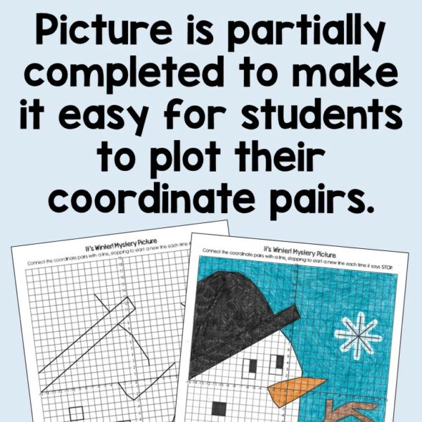 EASY Winter Four Quadrant Coordinate Plane Graphing Picture Activity ...