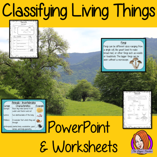 Classifying Living Things Lesson - Made By Teachers
