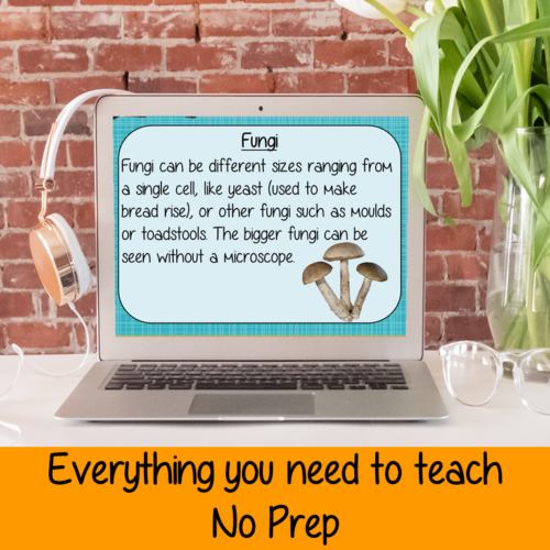 Classifying Living Things Lesson | Made By Teachers