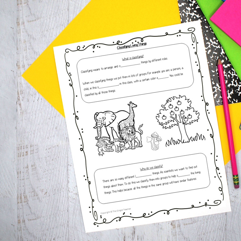 Classifying Living Things Lesson | Made By Teachers