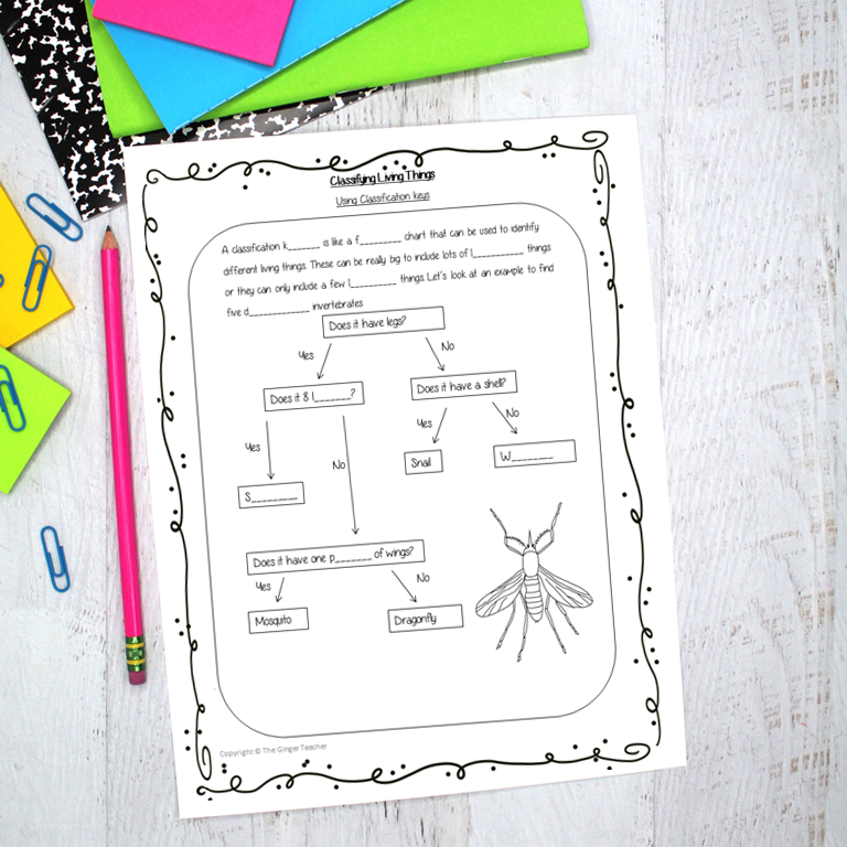 Classifying Living Things Lesson | Made By Teachers
