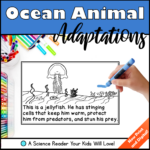 Ocean Animal Adaptations Book Print and Digital | Made By Teachers