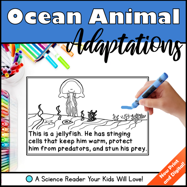 Ocean Animal Adaptations Book Print and Digital | Made By Teachers